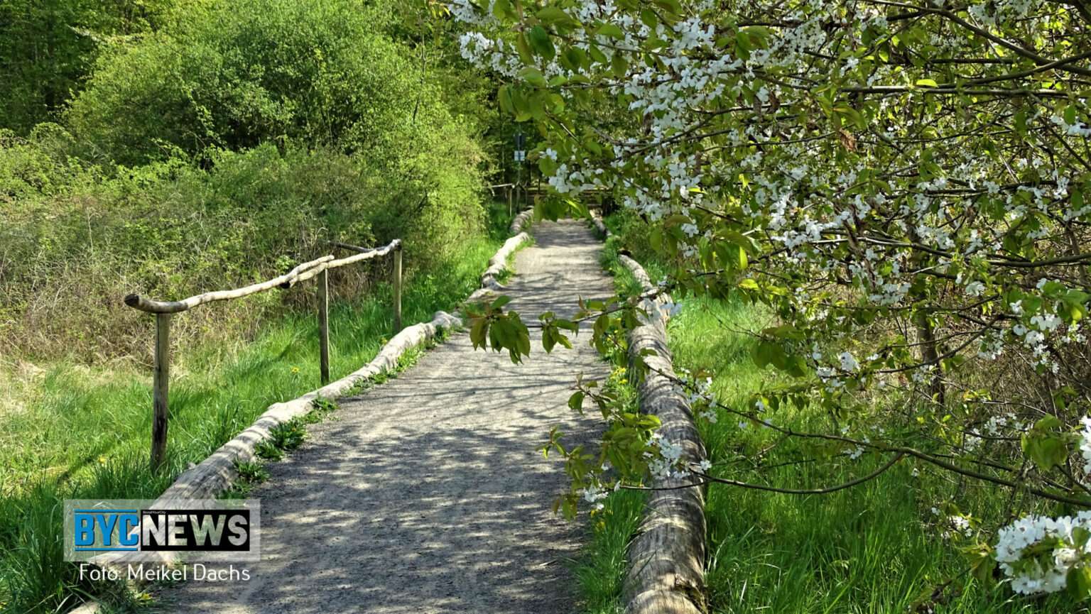 Der Ober-Olmer Wald: Wandern und Fitness im Naturschutzgebiet